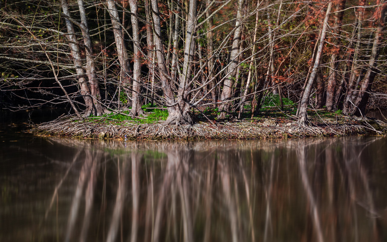 Reflection Landscape Photography
