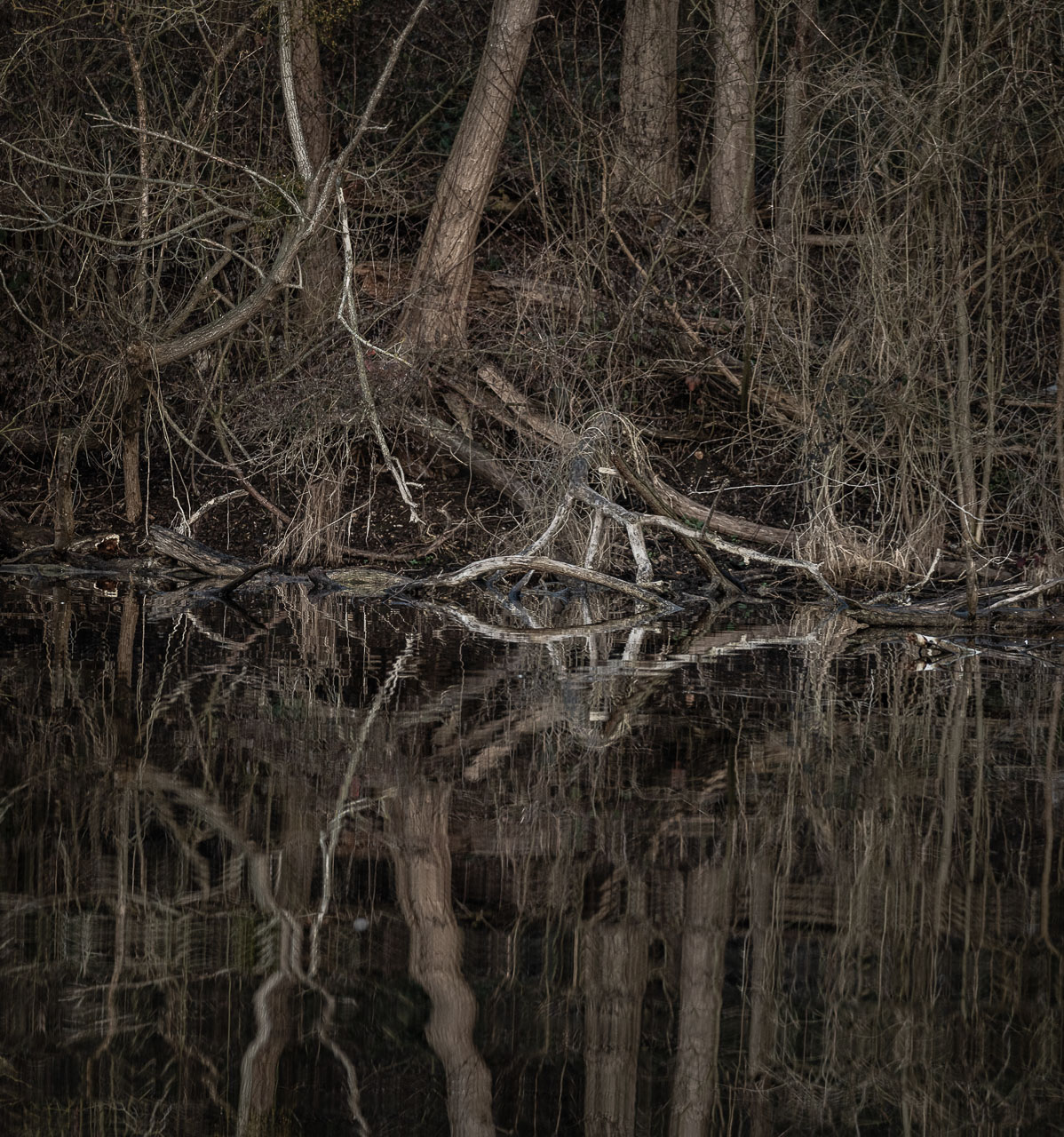 Reflection Landscape Photography